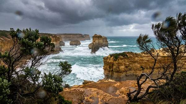Victoria's Winter Whale Trail: A Great Ocean Road Guide for June 2026 ...